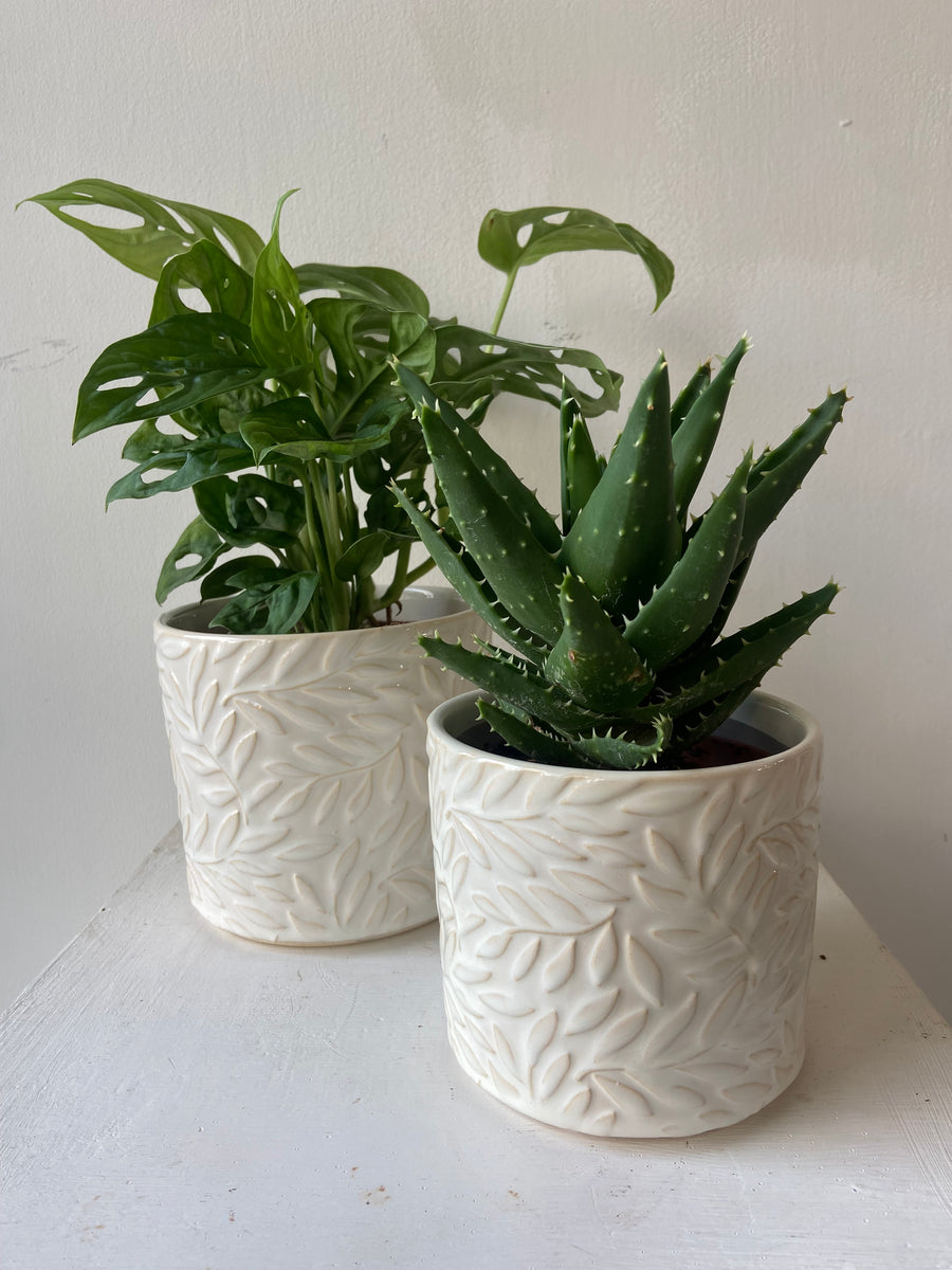 Embellished Pots – POT&VESSEL